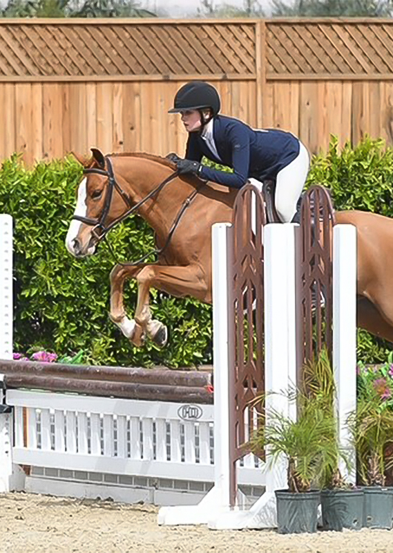 Stonegate Sylvester